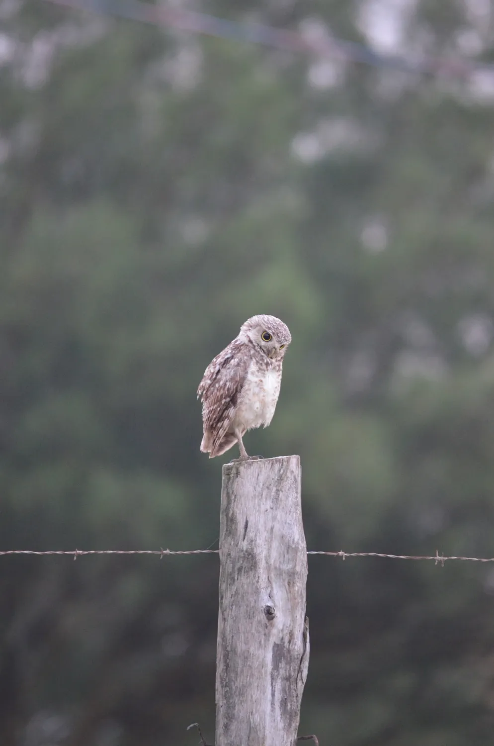 Assessing fire and explosion risks in possible chemical stores