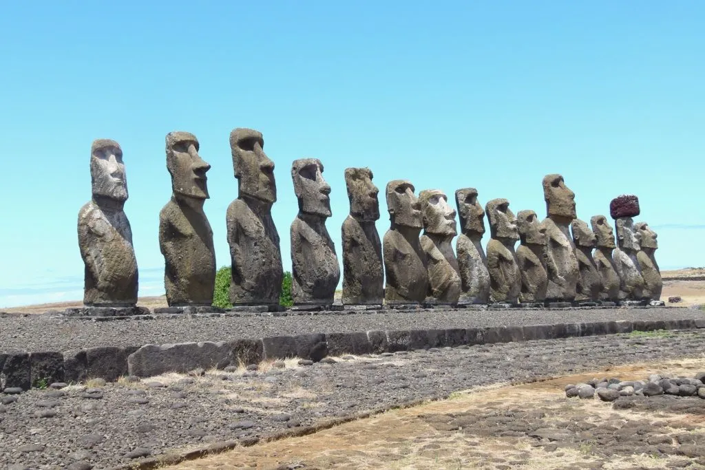 ECOsystem (Ex Controlled Organization)